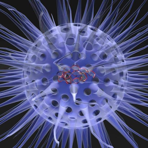 🧬 Virus With DNA helix and labelling・ 3D File for 3D printing・Cults