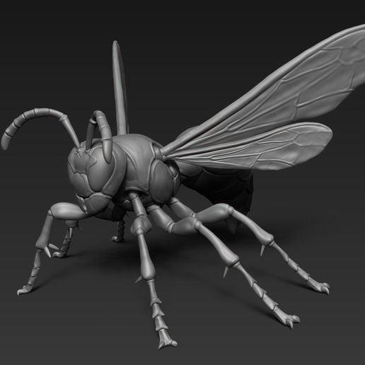 🐝 Wasp・ STL File for 3D printing・Cults