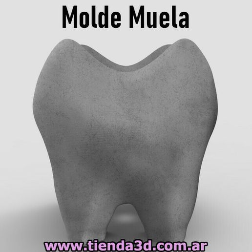 STL file Muela Pot Mold 🪴 ・3D print object to download・Cults