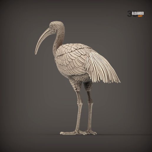 🐦 Egyptian Ibis・ STL File for 3D printing・Cults