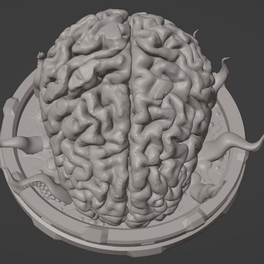 🧠 Elder Brain in Brine Pool・ STL File for 3D printing・Cults
