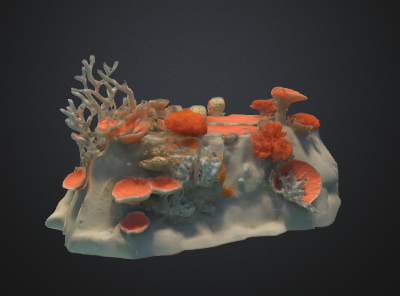 3D file Realistic 3D Coral Reef Model - Diverse Coral Species and ...