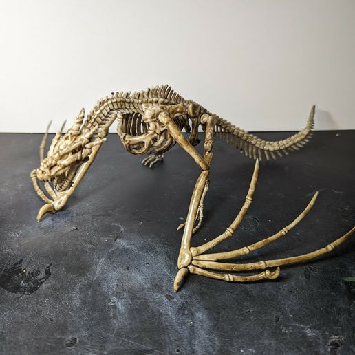 🐉 Dragon Skeleton・ 3D File for ・Cults