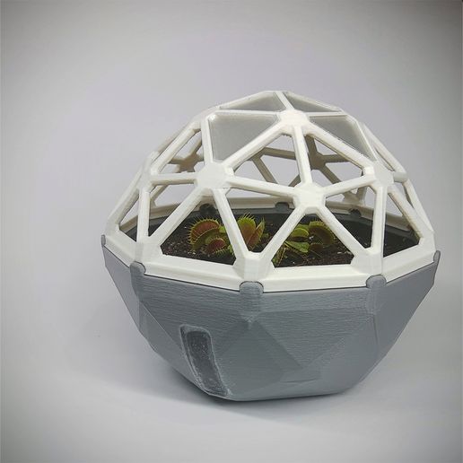 Free STL file Pot for carnivorous plant - Dionaea muscipula 🪴 ・3D ...