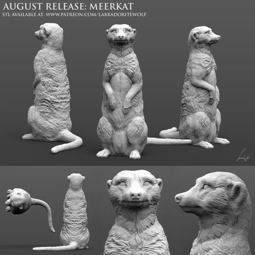 STL file Meerkat 🦡 ・3D printing model to download・Cults