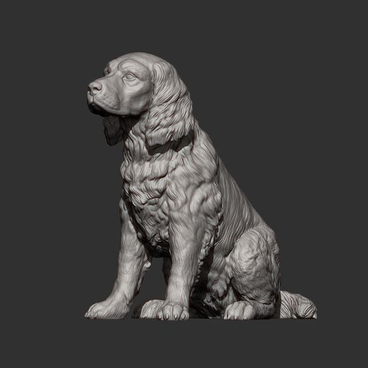 🗿 English Springer Spaniel sitting・ STL File for 3D printing・Cults