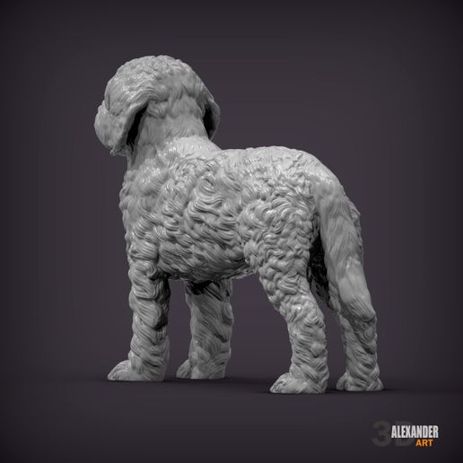 🐕 Goldendoodle standing 3D printed model・ STL File for 3D printing・Cults