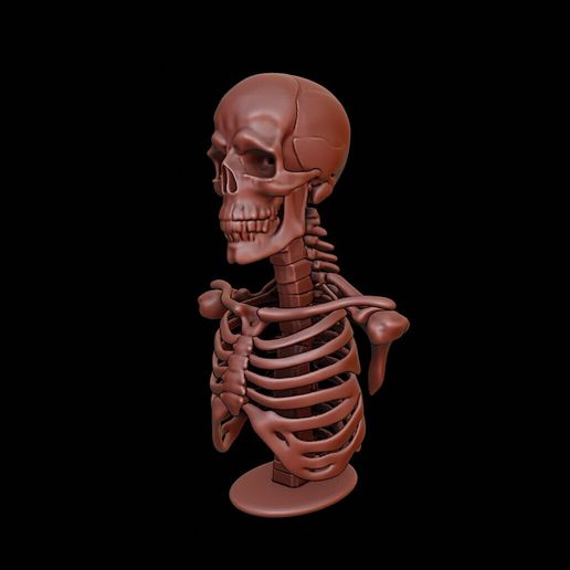 3D file Skeleton Beast Bust 💀 ・3D printable model to download・Cults