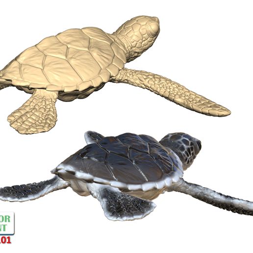 👶 Baby Sea Turtles 3D Printable Models・ 3D File for 3D printing・Cults