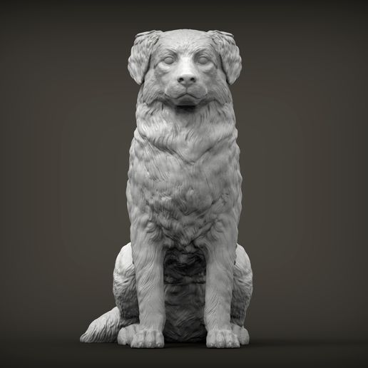 🐕 Australian shepherd sitting 3D printed model・ STL File for ・Cults