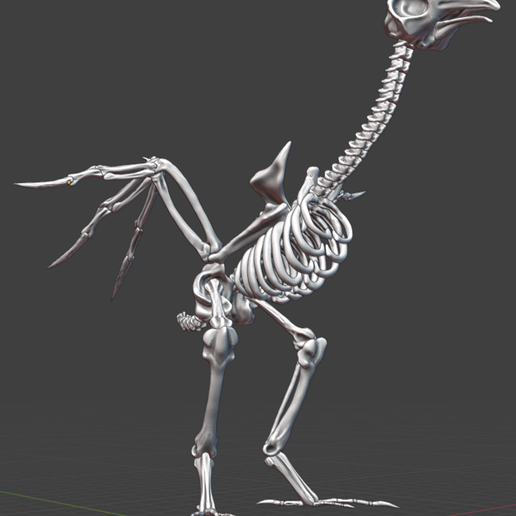 🐦 Bird Skeleton・Free STL File for 3D printing・Cults