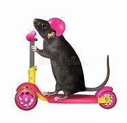 🐀 Rat on Rat lord・Free STL File for 3D printing・Cults