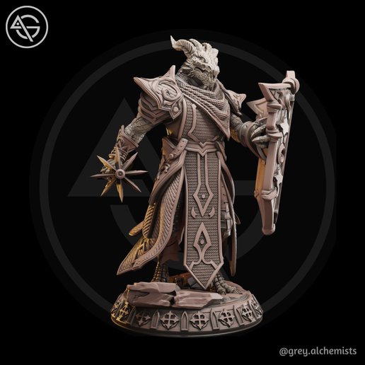 ♂️ Dralag the Dragonborn Paladin, DnD Miniatures - Fantasy Character in ...