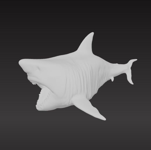 STL file Shark 🦈 ・3D printable model to download・Cults