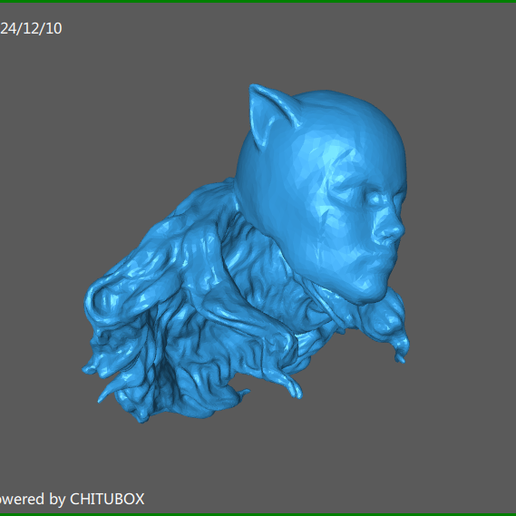 🦸‍♀️ Catwoman Head Jim Balent Version・ STL File for 3D printing・Cults
