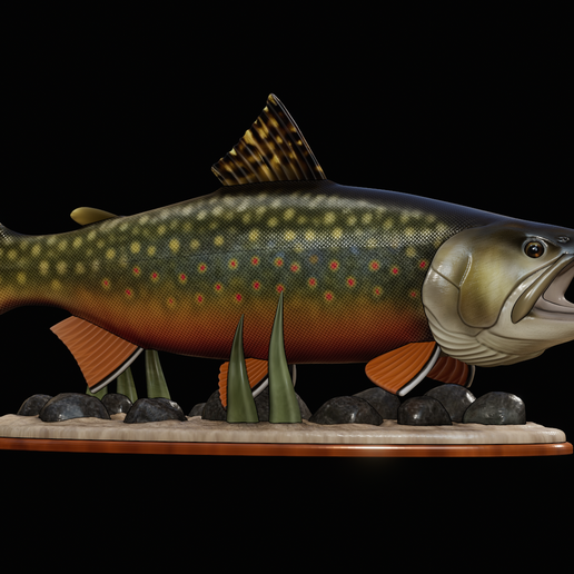 🎨 brook trout / Salvelinus fontinalis natural base detailed texture for ...