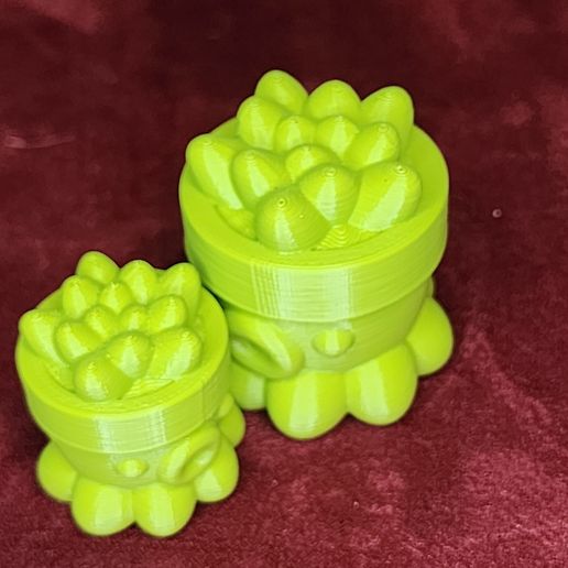 STL file Octopus Succulent No. 1 🐙 ・3D printable design to download・Cults