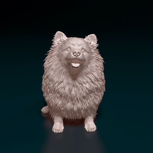 STL file Japanese Spitz 🐕 (OBJ)・3D printer design to download・Cults