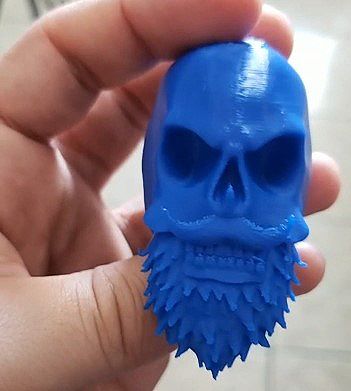 bearded skull 23