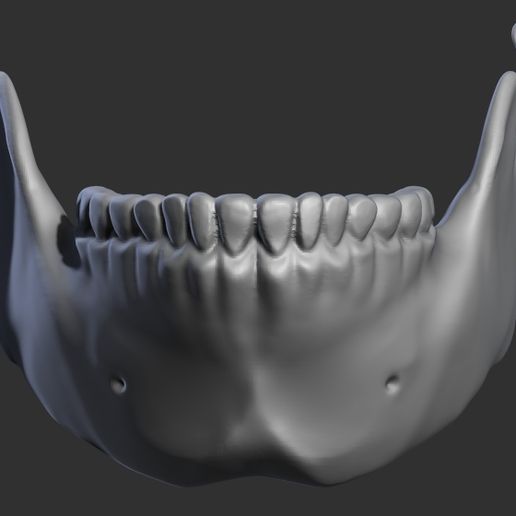 💀 Skull・ STL File for 3D printing・Cults