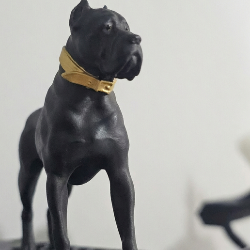 🦯 Realistic Cane Corso Dog Statue – Highly Detailed 3D Printable ...
