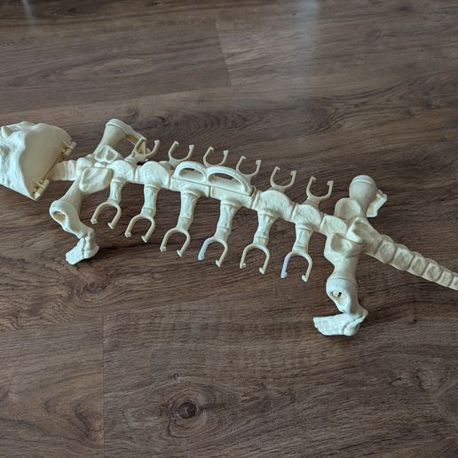 🦸 Battle Bones MOTU replacement rib・Free STL File for 3D printing・Cults