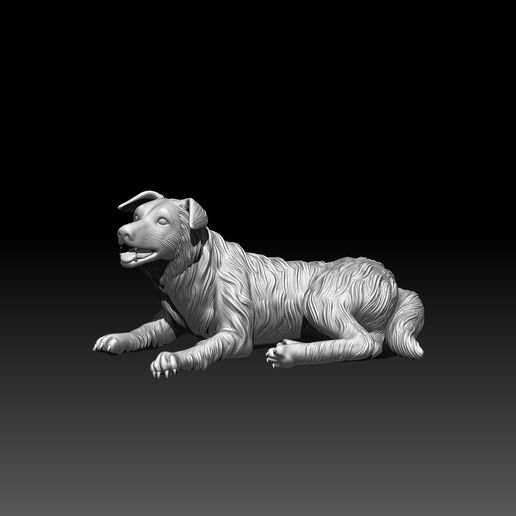 🐕 Border Collie Dog 3D Printable Digital Model・ STL File for 3D ...