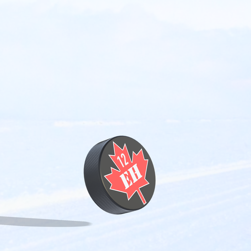 🏒 Customizable Hockey Puck・ STL File for 3D printing・Cults