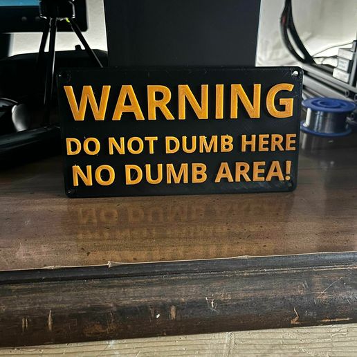 🪞 do not dumb here wall mounted sign!・ STL File for 3D printing・Cults