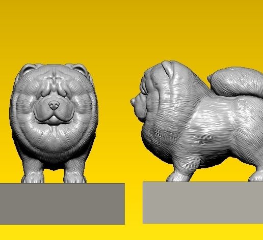 STL file Chow chow furry Dog - terrier model - 3D print 🐕 ・Model to ...
