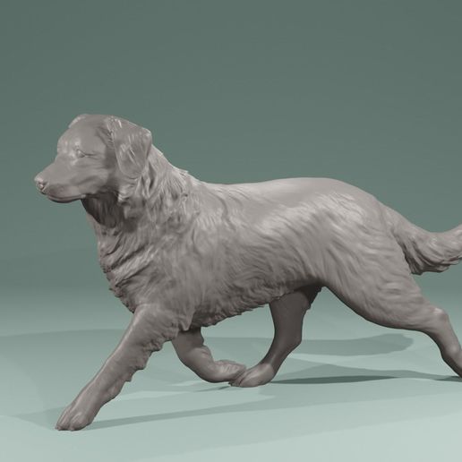 🐕 Realistic Australian Shepherd dog running 3D print model・ STL File ...