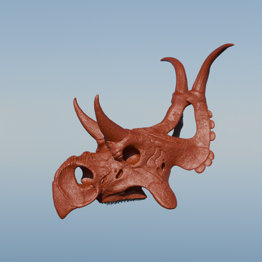 💀 Diabloceratops Eatoni Skull 20cm 3d model 3d print・ STL File for 3D ...