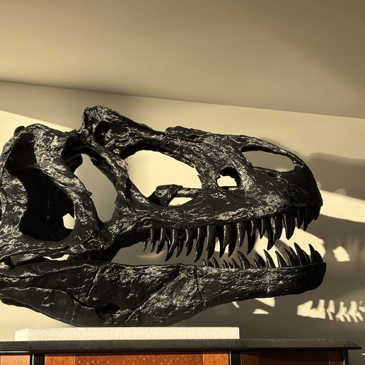 💀 Allosaurus skull・3D Print with the Prusa MK4 3D printer・Cults