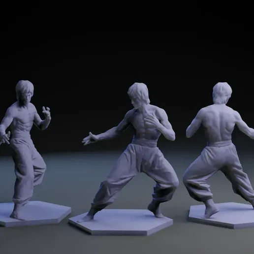 bruce lee fighting pose