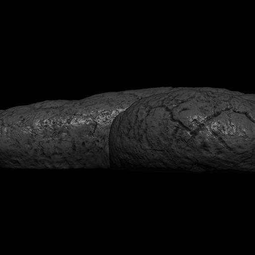 💩 3D PRINTABLE POOP PRANK TWO PACK・ STL File for 3D printing・Cults