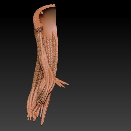 👧 Predator Girl・ 3D File for ・Cults