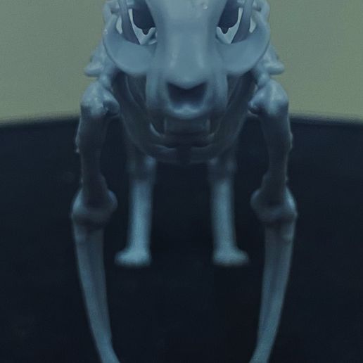 🐱 SPECIMEN OF CAT BONE・ OBJ File for 3D printing・Cults