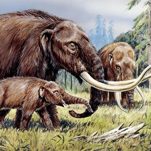 🦣 Epic Scale Mammut Schwertransport・Kostenlos 3D Datei für 3D-Druck・Cults
