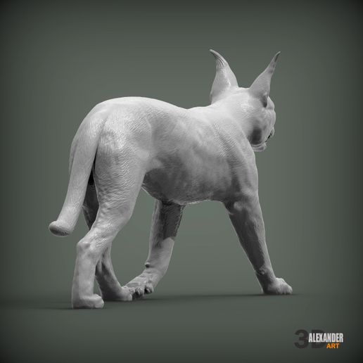 🐱 Caracal 3D print model・ STL File for 3D printing・Cults