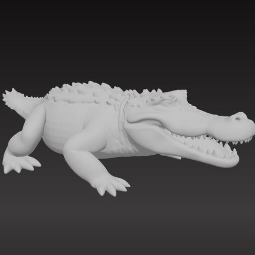 STL file crocodile 🐊 ・3D printer design to download・Cults