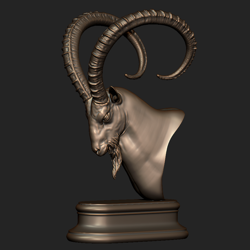 STL file Ibex Head 🗿 ・3D printable model to download・Cults