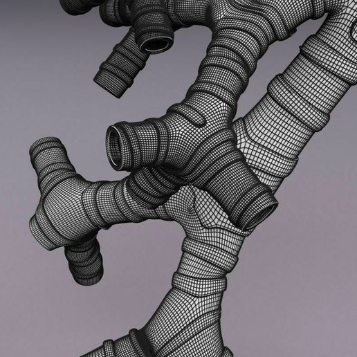 🧪 Larynx and trachea 3D model・ 3D File for 3D printing・Cults