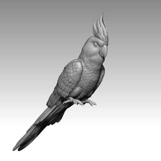 🦜 parrot・ STL File for 3D printing・Cults