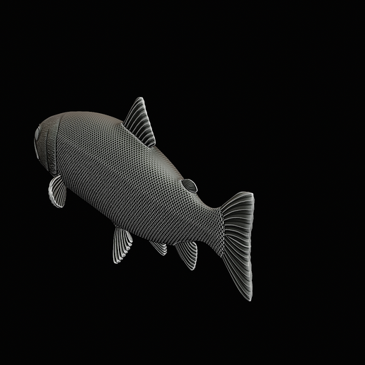 🌈 rainbow trout / Oncorhynchus mykiss open mouth fish model for 3D ...