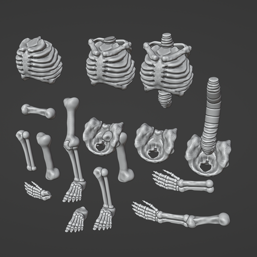 💀 Scatter Bones for Basing・ STL File for 3D printing・Cults