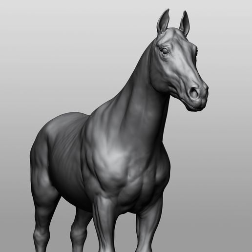 3D file Domestic animal collection - 9 animals 🐎 ・Design to download ...