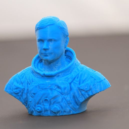3D print Astronaut Bust • made with Colido 2.0・Cults