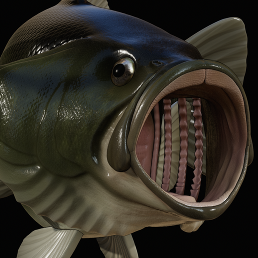 🐠 fish Largemouth Bass / Micropterus salmoides in motion trophy statue ...
