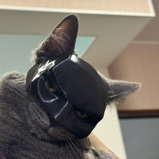 STL-Datei Batman Cat mask normal size 🐱 ・3D-Drucker-Vorlage zum ...
