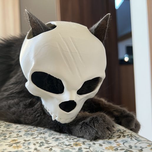 🐱 Cat Helmet skull・ STL File for 3D printing・Cults